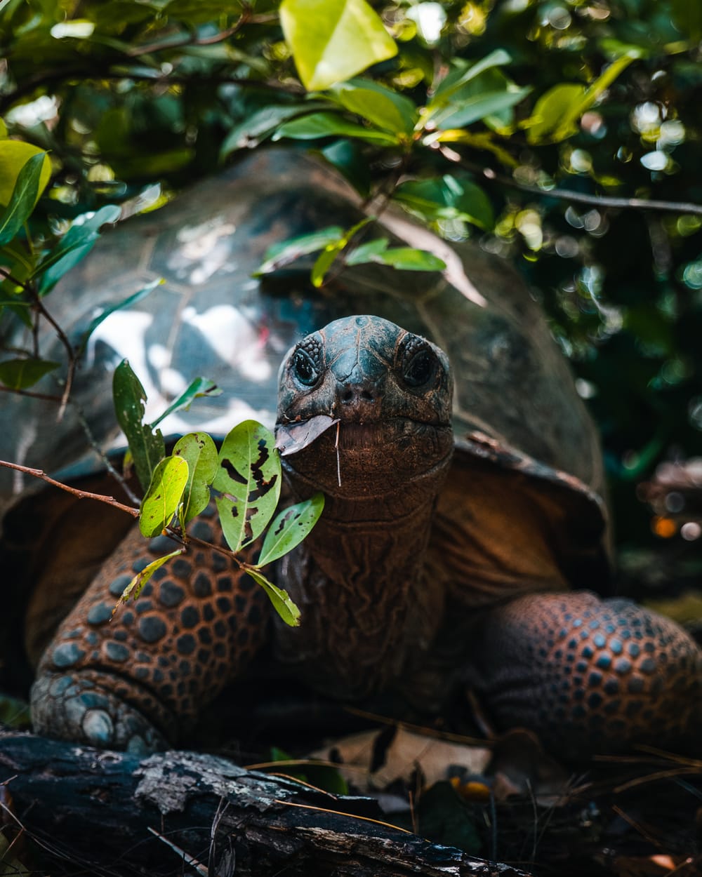 How to spend 2-3 days in Mahe, Seychelles: Adventure Travel Itinerary